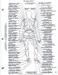 Body Mapping – Dr. Sandra Rose Michael